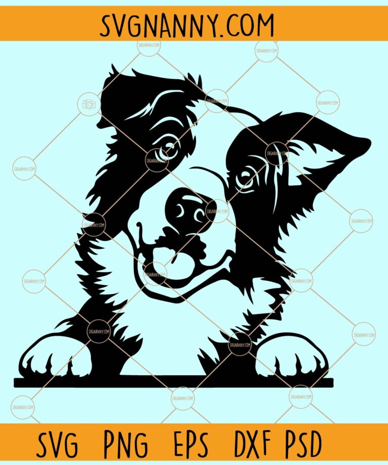 Border Collie Svg, Dog Svg, Border Collie Dog Breed Svg, Collie Svg ...