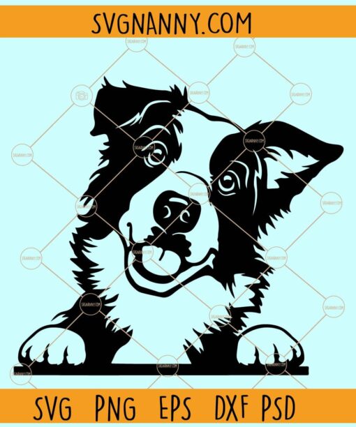 Border Collie Svg, Dog Breed Svg, Peeking Border Collie Svg, Border ...