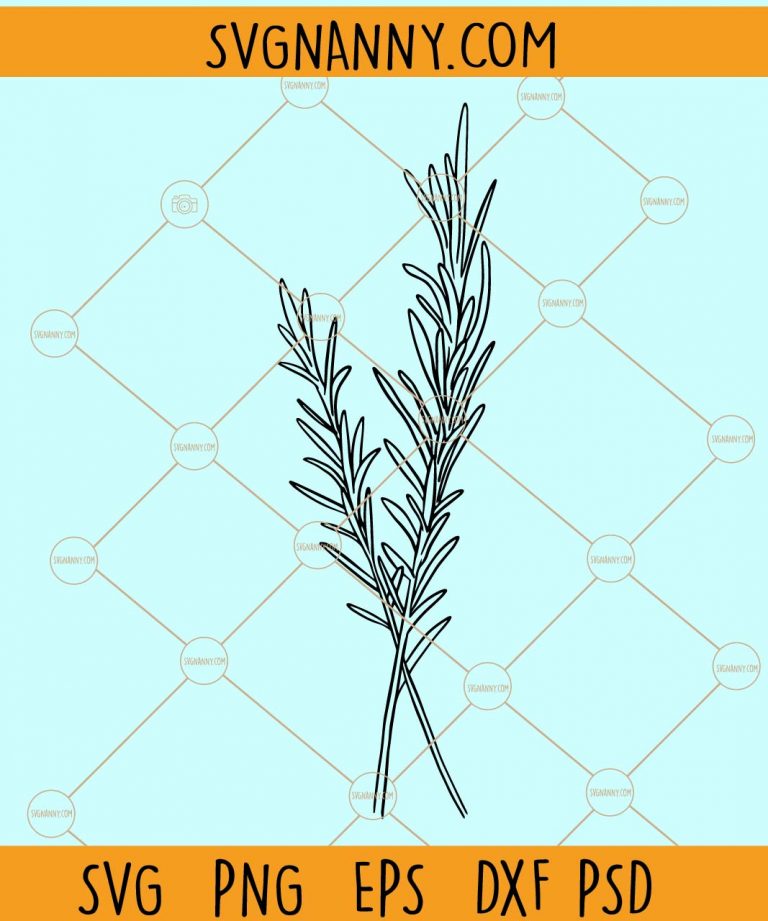 Rosemary spring clipart svg, Rosemary Svg, Botanical svg, Floral svg ...